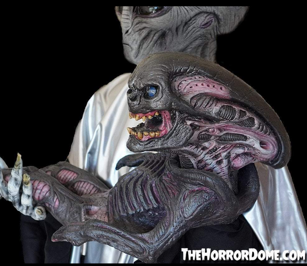 Transform Your Haunt with Terrifying Animal Props from TheHorrorDome.c ...