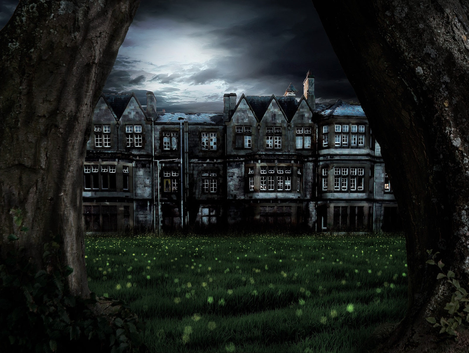 A Century of Shadows: The Dark Past of the Trans-Allegheny Lunatic Asy ...