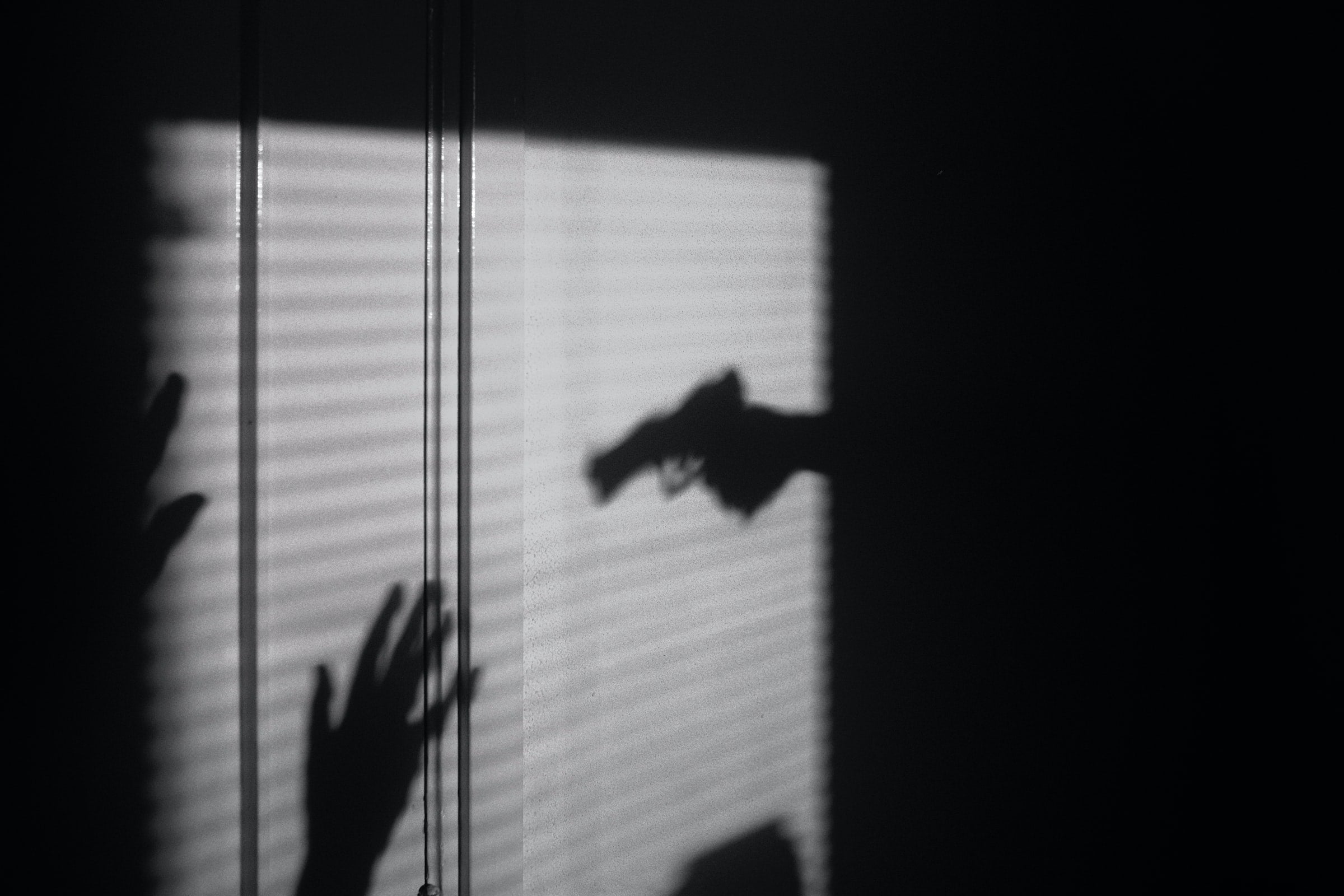 Noirvember: 10 Films That Blend Horror and Noir – The Horror Dome