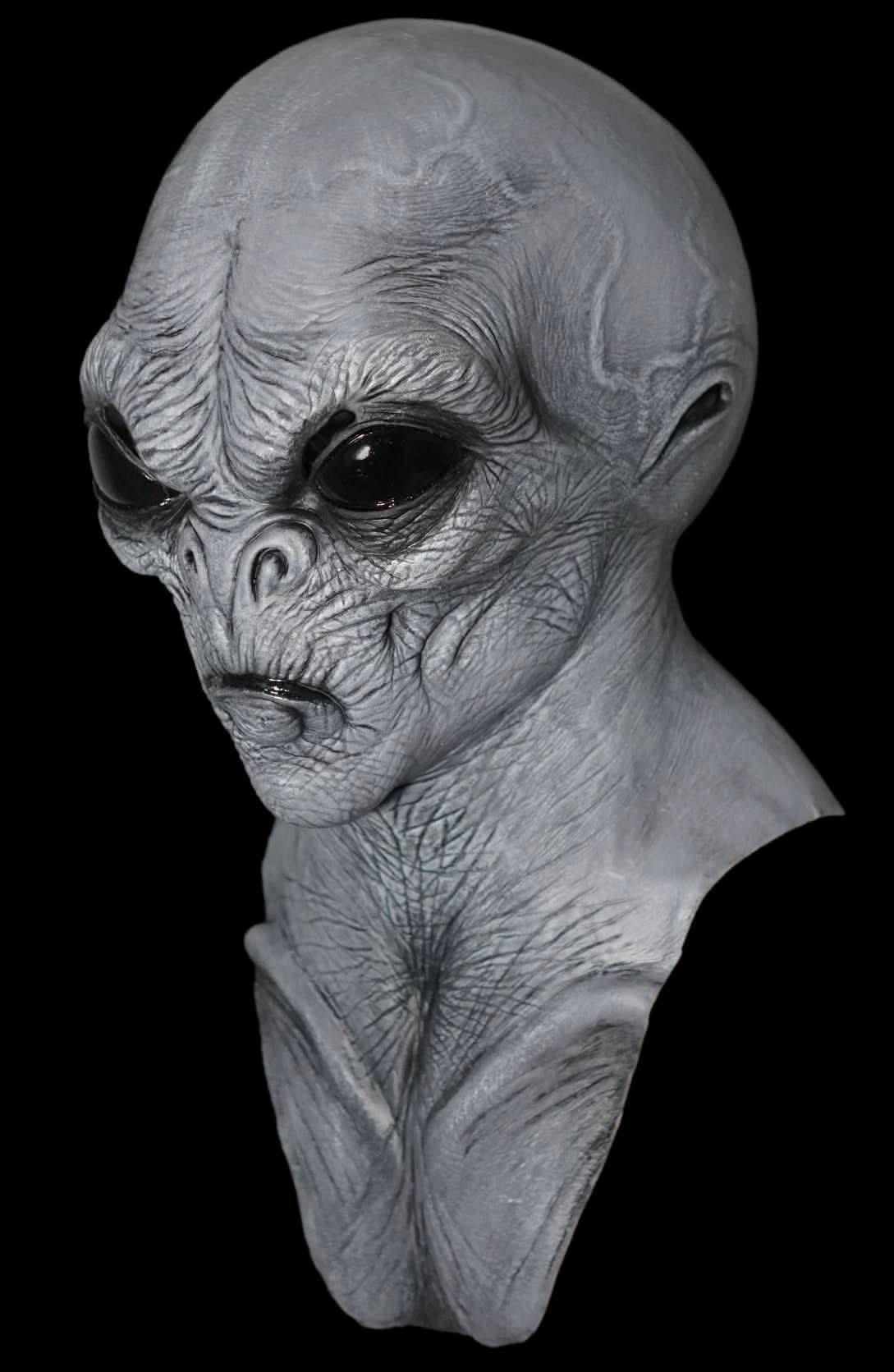 "Alien Grey" Science Fiction Extraterrestrial Invader Mask – The Horror ...