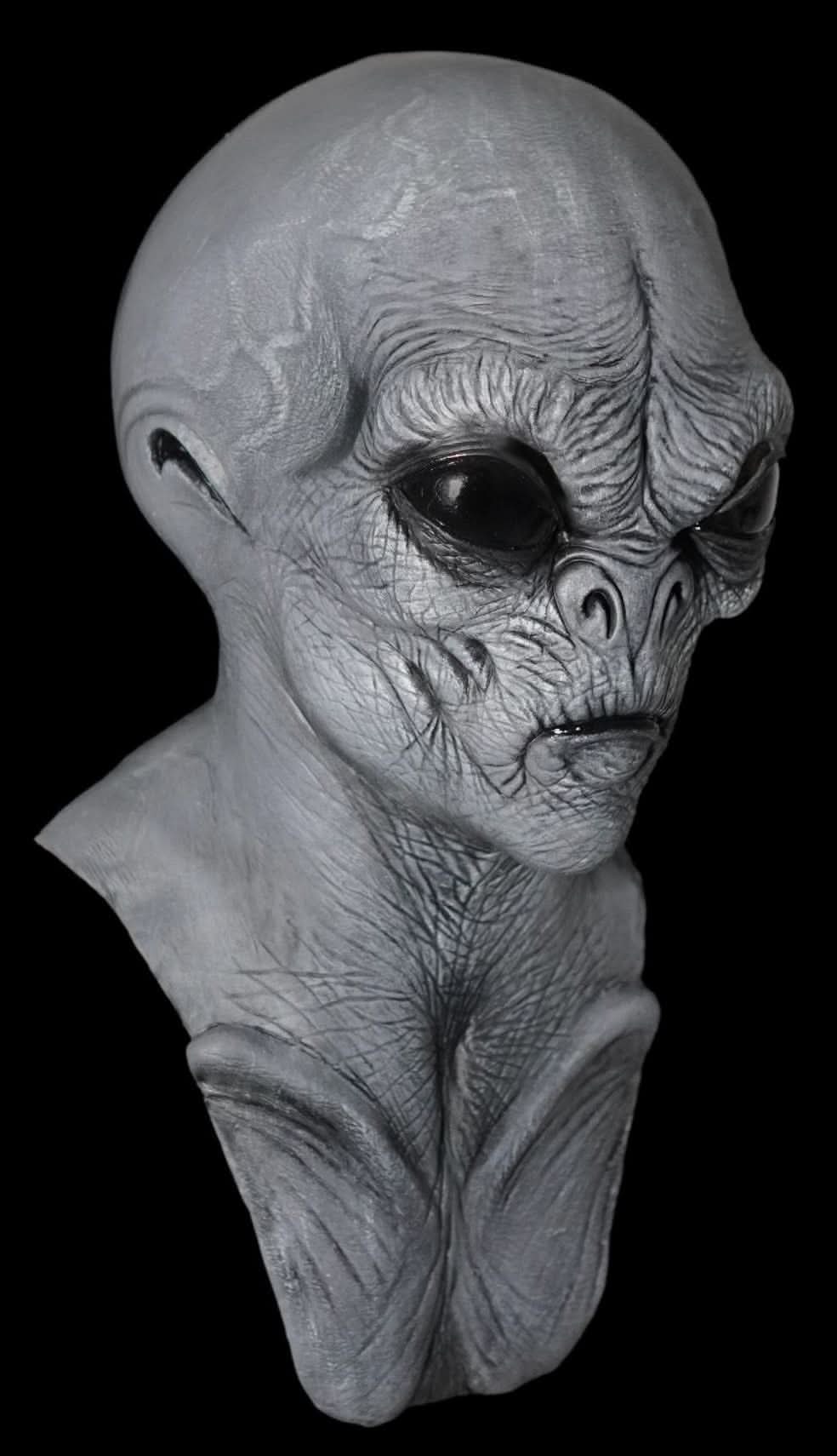 "Alien Grey" Science Fiction Extraterrestrial Invader Mask – The Horror ...