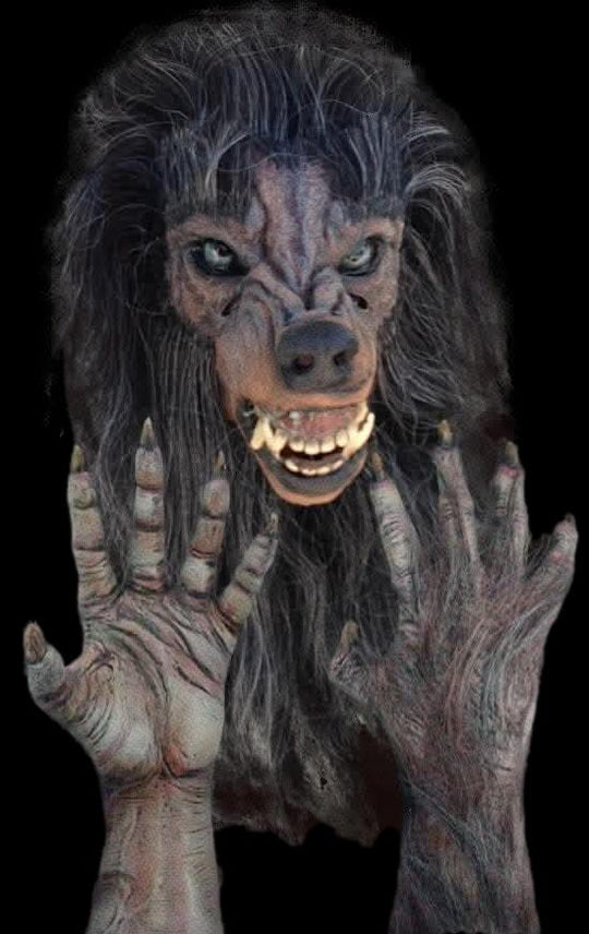 Werewolf Halloween Masks – The Horror Dome