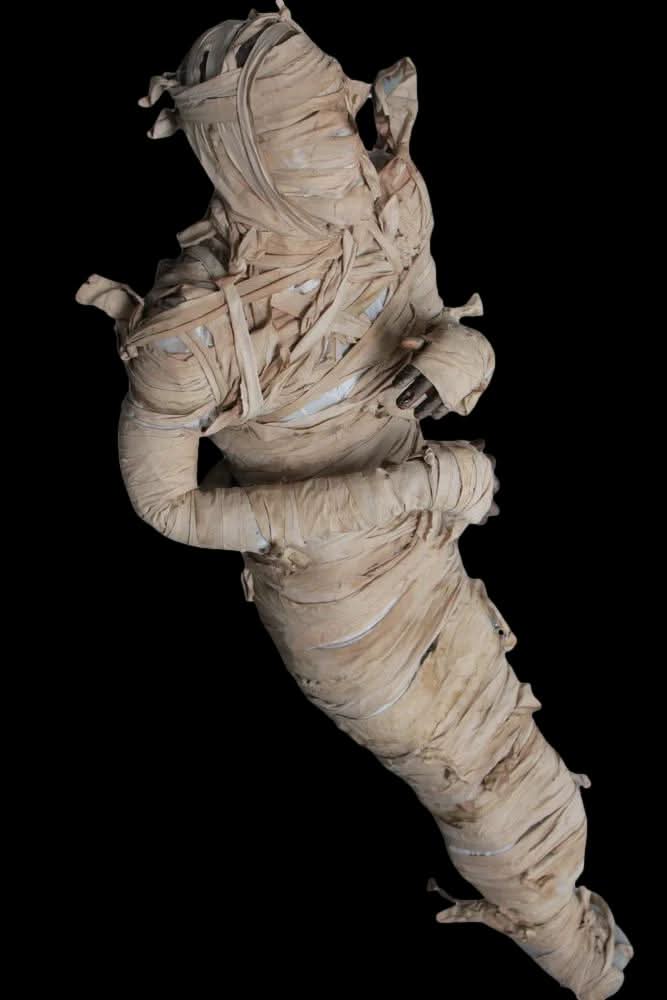 Bandage Mummy | Halloween Decorations – The Horror Dome