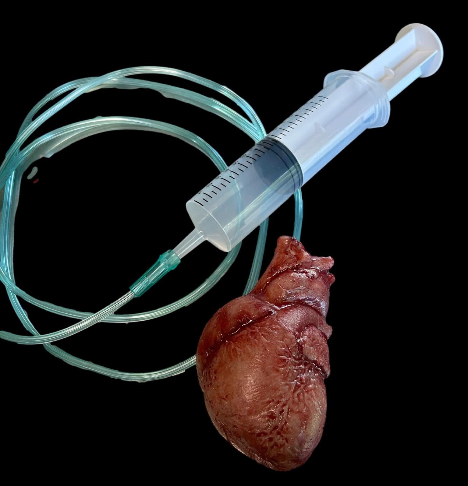 Beating "Human Heart" Silicone Human Body Part Halloween Prop – The ...