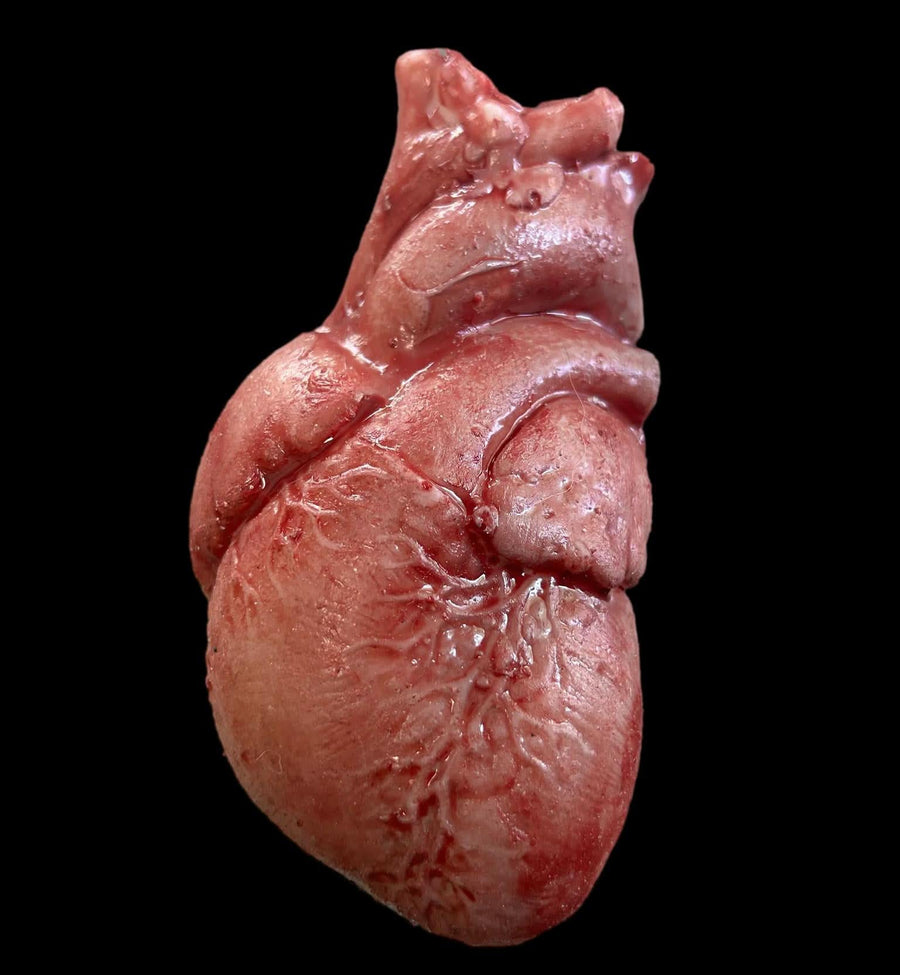 Beating "Human Heart" Silicone Human Body Part Halloween Prop – The ...