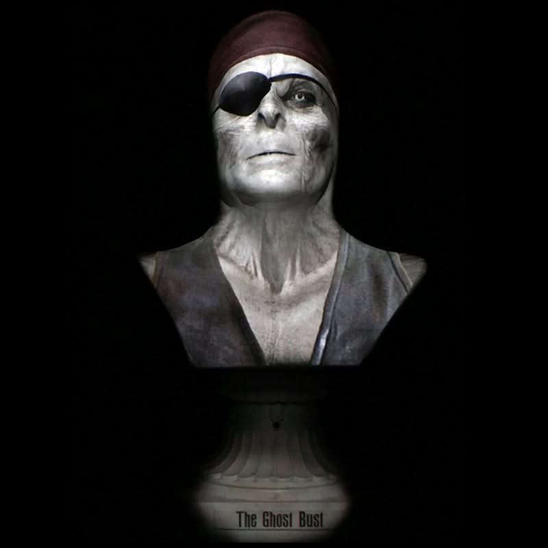 Ghost Bust Projections - Halloween Haunted House Special Effects – The ...