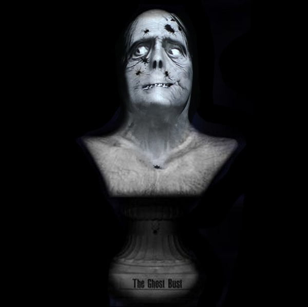 "Ghost Bust Pro - Spider Face" Animated Haunted Projection Prop – The ...