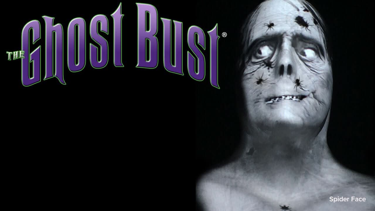"Ghost Bust Pro - Spider Face" Animated Haunted Projection Prop – The Horror Dome