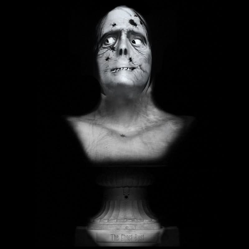 "Ghost Bust Pro - Spider Face" Animated Haunted Projection Prop – The ...