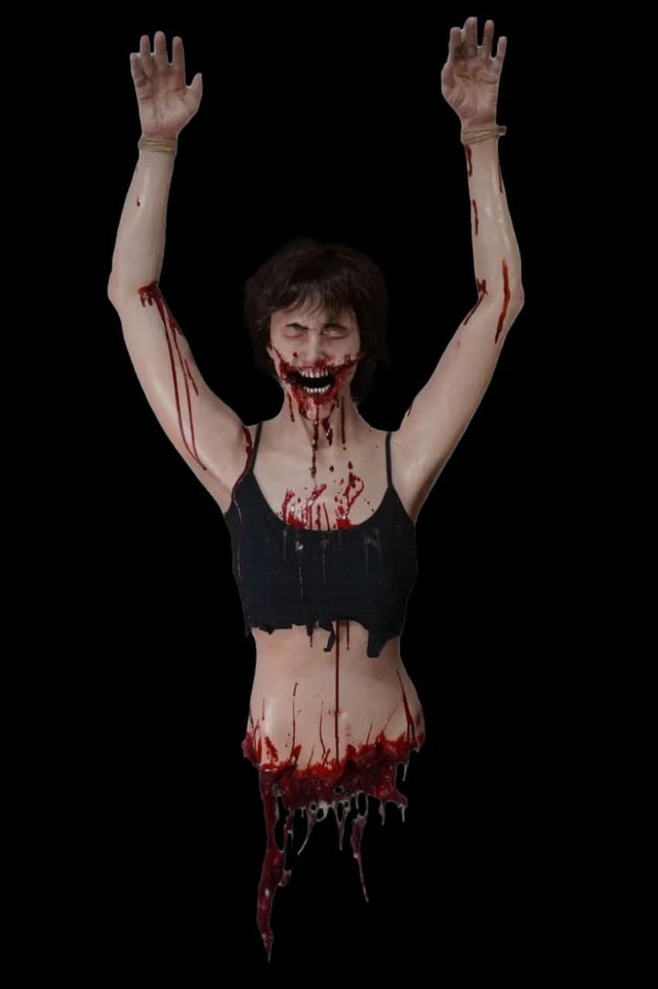 Halloween and Haunted House Butcher Shop - TheHorrorDome.com – The Horror Dome