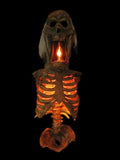 "Lighted Torso of Terror" Hanging Haunted House Decoration – The Horror ...