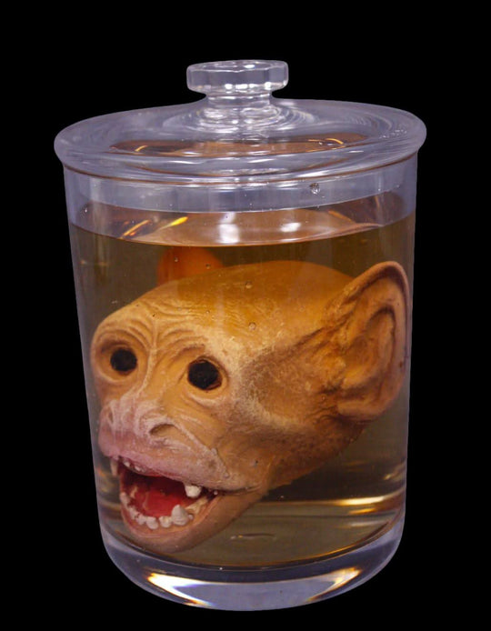 Sideshow and Specimen Props – The Horror Dome