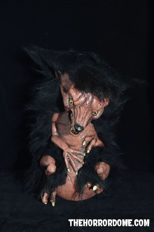 "Newborn Werewolf" Collector Oddity HD Exclusive Halloween Decoration ...