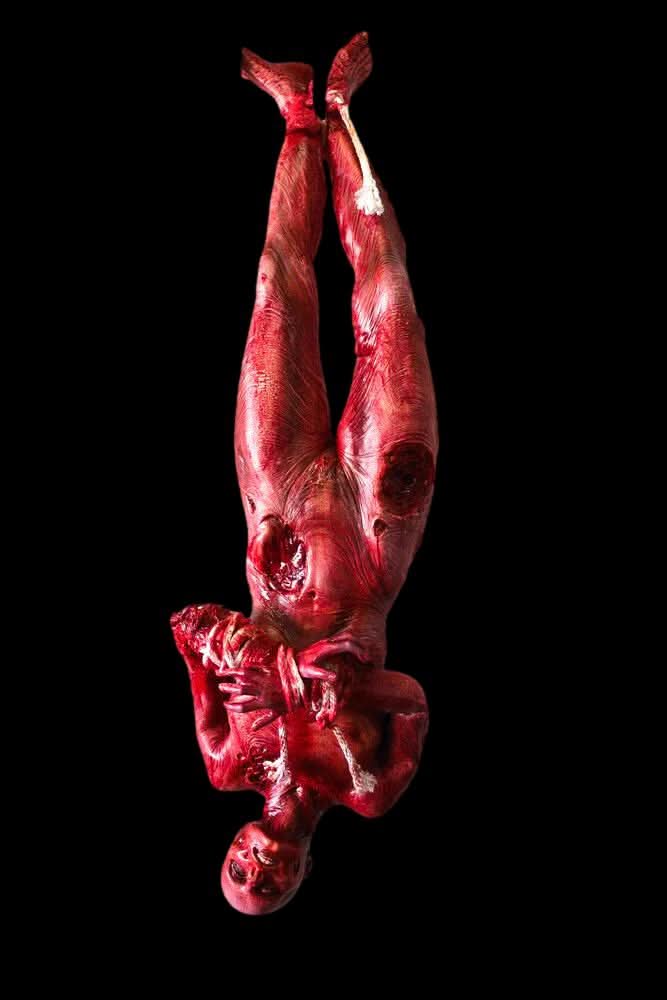 Skinned Dangler Body Halloween Prop – The Horror Dome