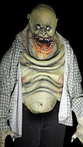 "The Infected Zombie" Professional Costume | Scary Halloween Costumes ...