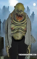 "The Infected Zombie" Professional Costume | Scary Halloween Costumes ...