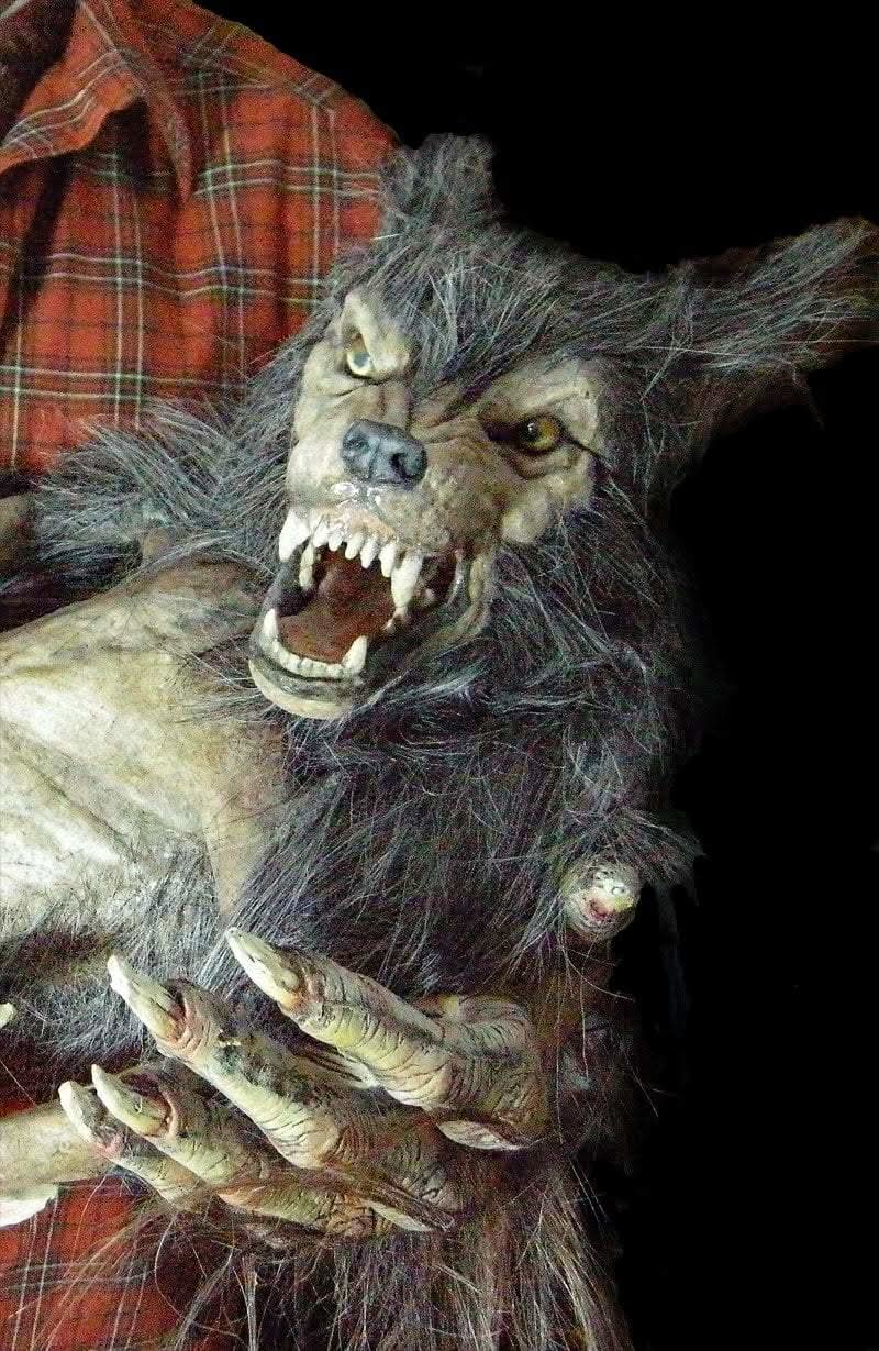 Baby Werewolf Puppet | Halloween Decorations – The Horror Dome