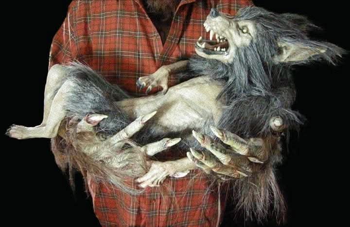 Baby Werewolf Puppet | Halloween Decorations – The Horror Dome