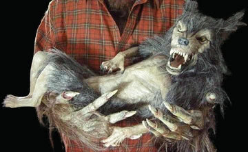 Baby Werewolf Puppet | Halloween Decorations – The Horror Dome