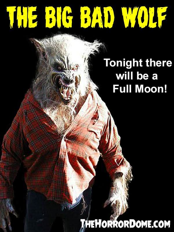 "Big Bad Wolf" Pro Werewolf Costume | Scary Halloween Costumes – The ...