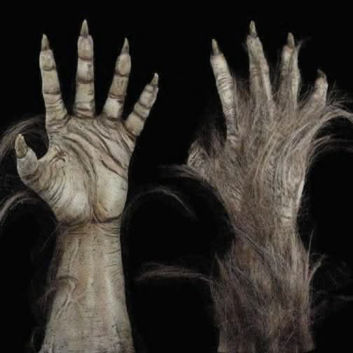 "Big Bad Wolf" Pro Werewolf Costume | Scary Halloween Costumes – The ...