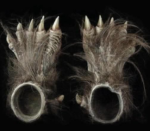 "Big Bad Wolf" Pro Werewolf Costume | Scary Halloween Costumes – The ...