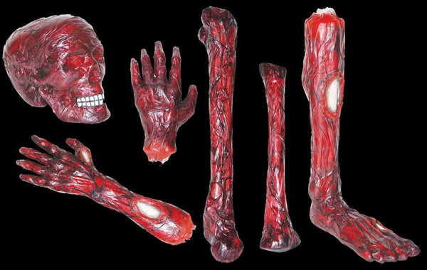 "Burnt Body Parts" Gory Halloween Props - Package Deal – The Horror Dome