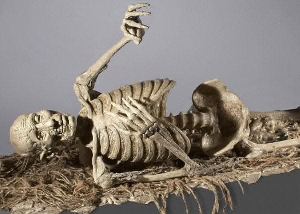 "Corpse Reacher/Trap Door Popper Combo" Skeleton Halloween Animatronic ...