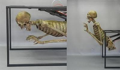 Skeleton Animatronics - Halloween Animatronics – The Horror Dome