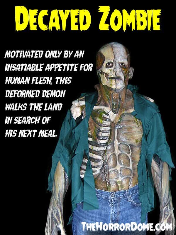 "Decayed Zombie" Professional Costume | Scary Halloween Costumes – The ...