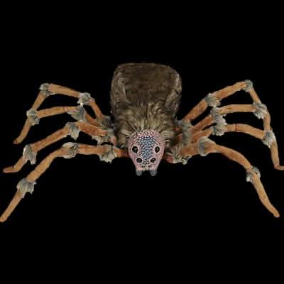 Animal Halloween Props - Natural Frights for Your Night | The Horror Dome
