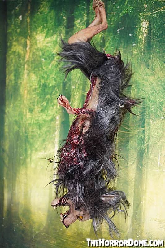 Gutted Baby Werewolf Hanging Prop – The Horror Dome