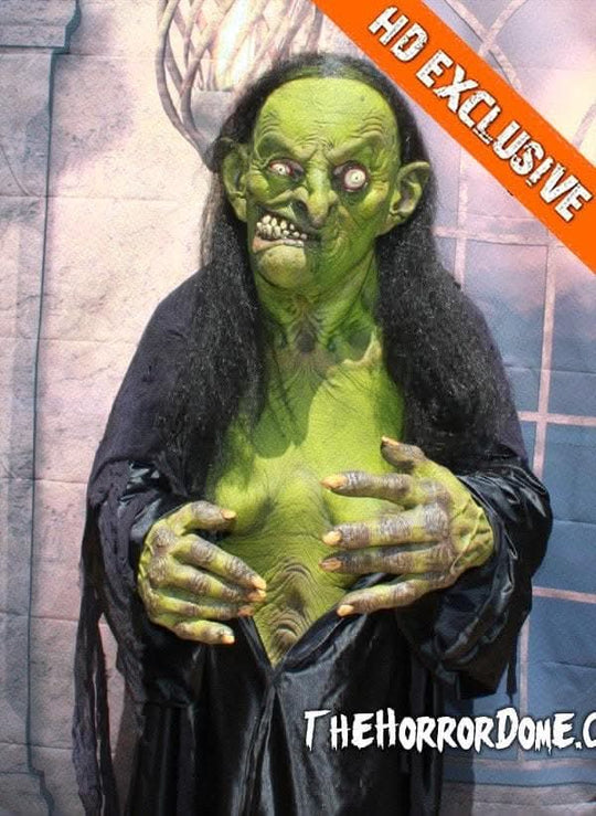 "Helga the Witch" Pro Costume | Scary Halloween Costumes – The Horror Dome