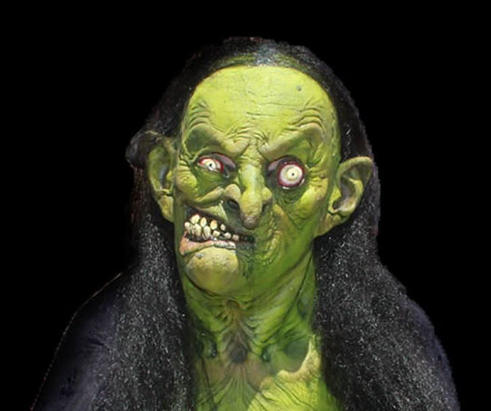 "Helga the Witch" Pro Costume | Scary Halloween Costumes – The Horror Dome