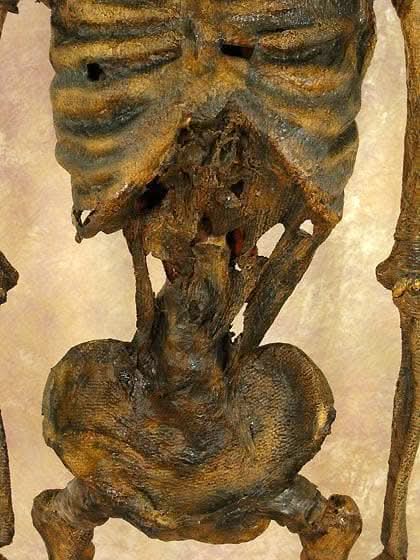 Life- Size Rotted Skeleton – The Horror Dome