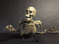 "Lunging Peeper" Skeleton Halloween Animatronic – The Horror Dome