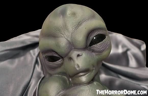 "Roswell Alien Baby Crash Victim" HD Exclusive Collector Oddity Hallow ...