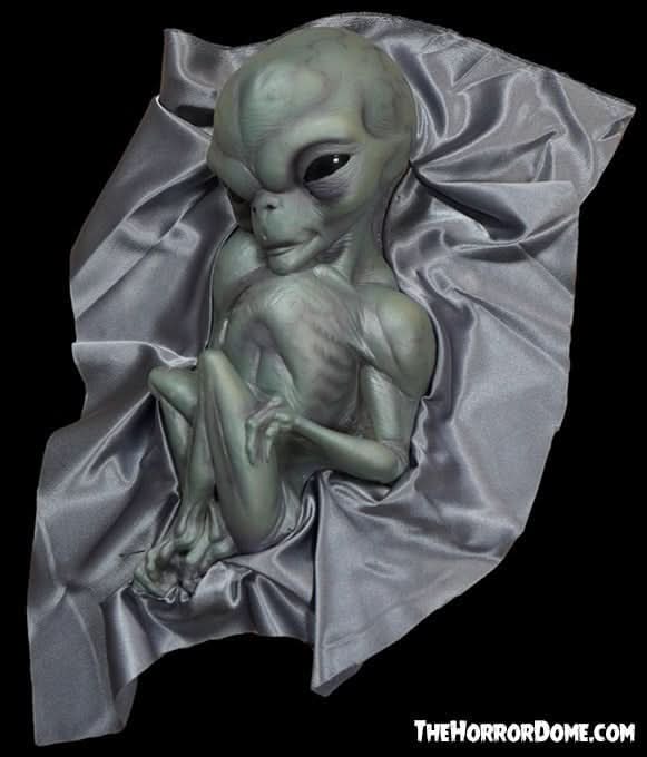 "Roswell Alien Baby Crash Victim" HD Exclusive Collector Oddity Hallow ...