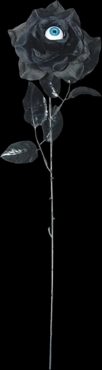 "One Dozen Black Roses with Eyes" Halloween Accessory Prop – The Horror ...
