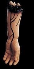 Human Body Props - Halloween Props – Page 2 – The Horror Dome