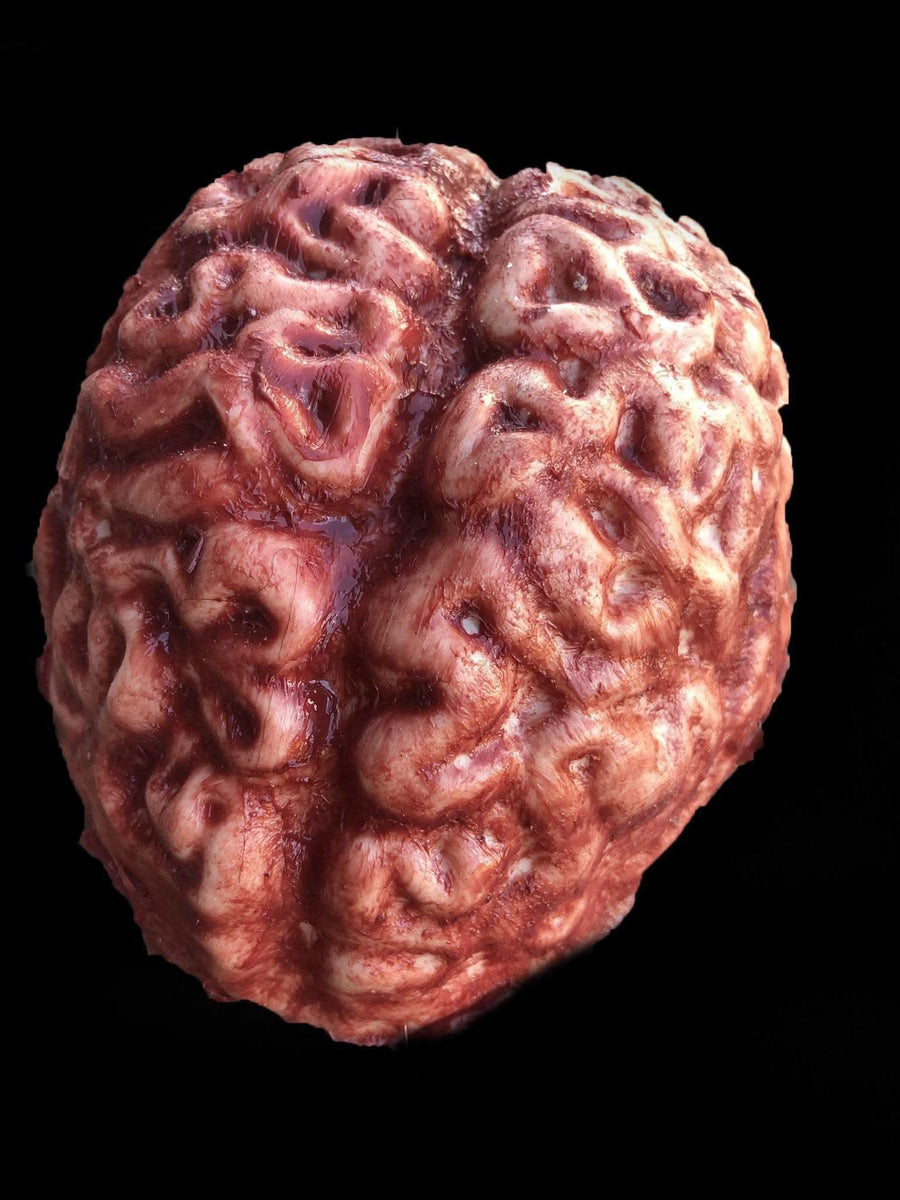 "Silicone Brain" Body Part Halloween Prop – The Horror Dome