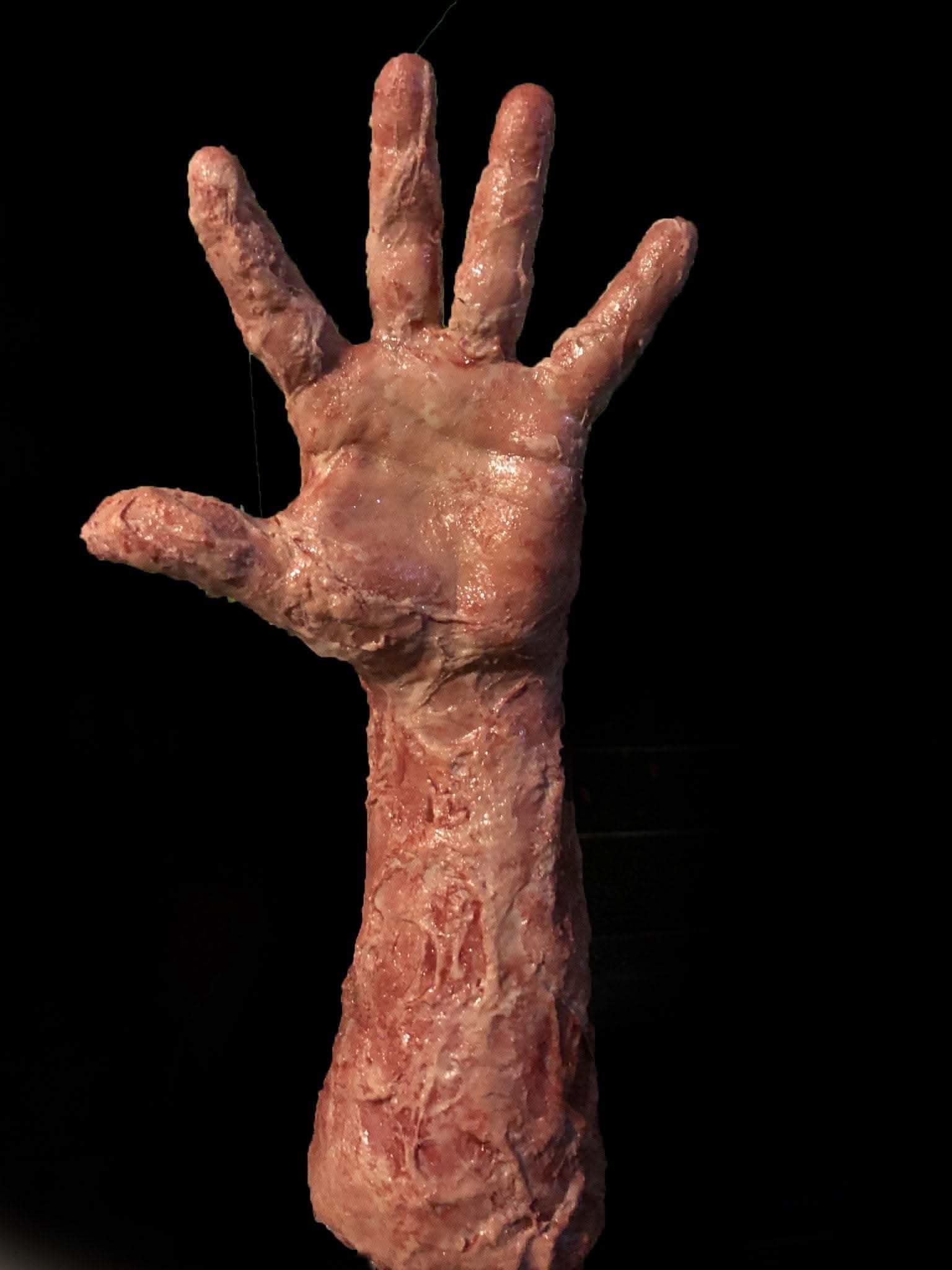"Silicone Burned Male Arm" Body Part Halloween Prop – The Horror Dome