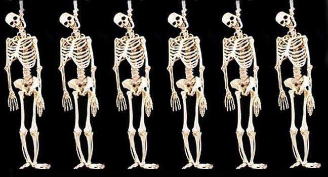 Hanging Skeleton Combo Package | Halloween Decorations – The Horror Dome