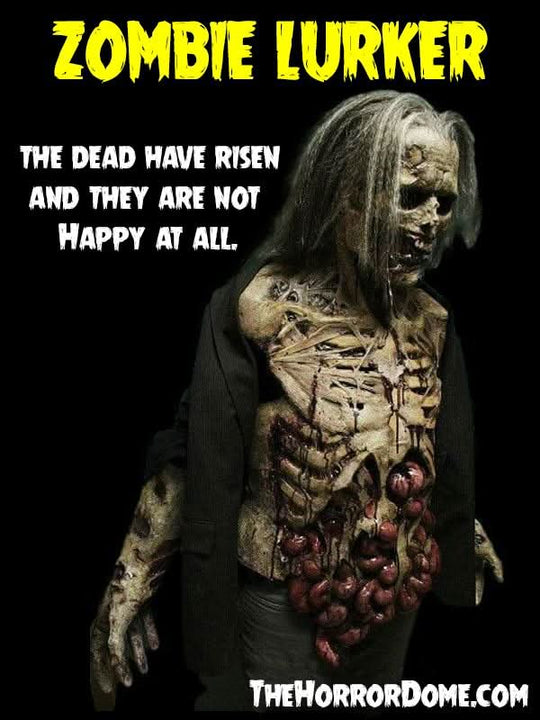 "Zombie Lurker" Professional Costume | Scary Halloween Costumes – The ...