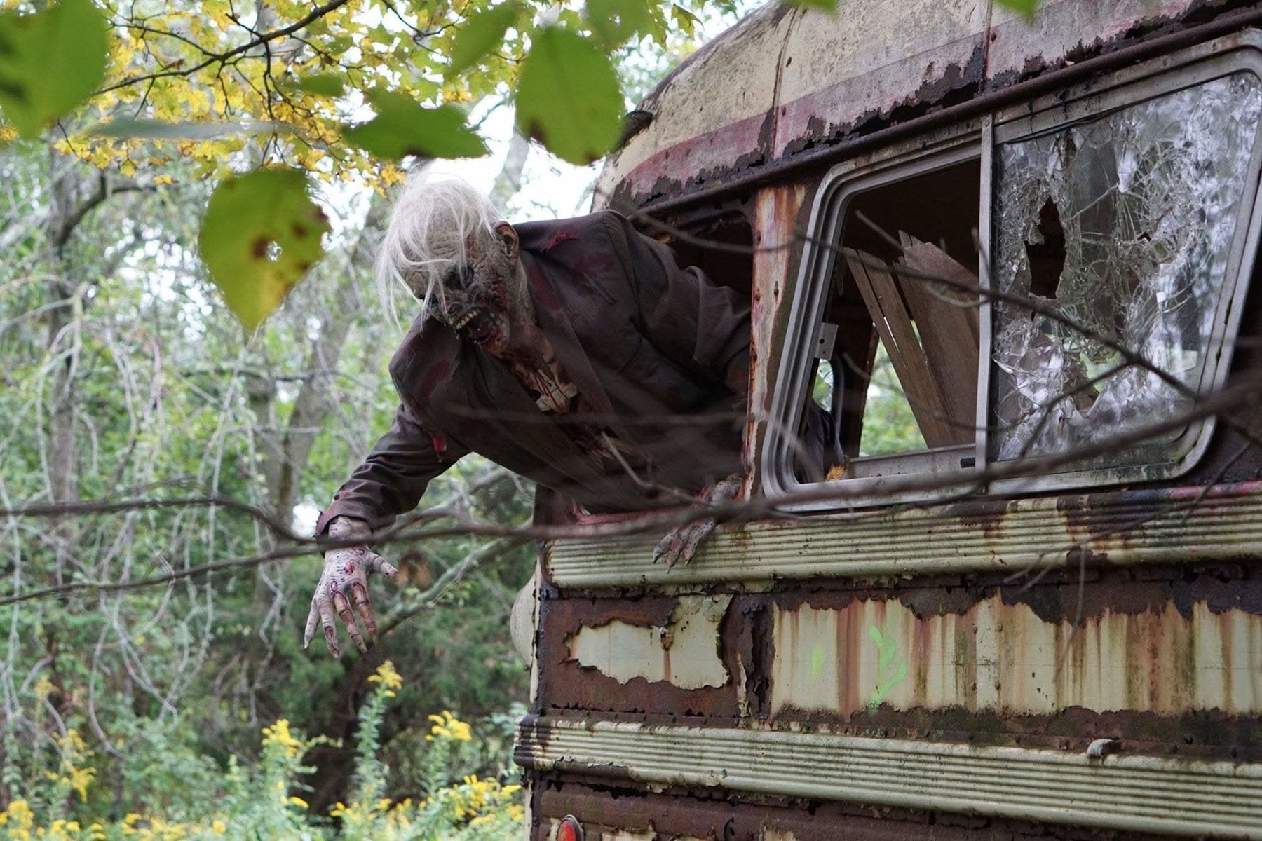 "Zombie Walker" Professional Costume | Scary Halloween Costumes – The ...