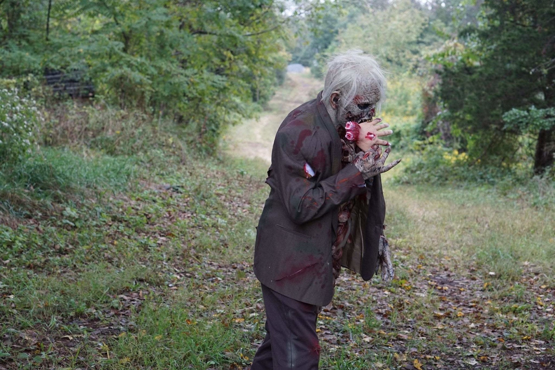 "Zombie Walker" Professional Costume | Scary Halloween Costumes – The ...